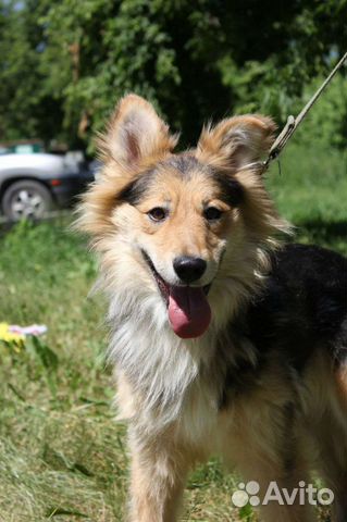 Необычный Франц очень ждет тебя