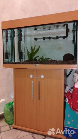 Аквариум juwel 125л с тумбой и внешним фильтром