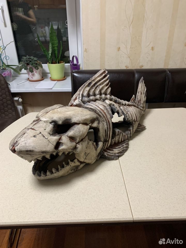 Череп акулы