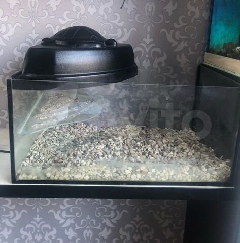 Аквариум для черепах, черепашечник