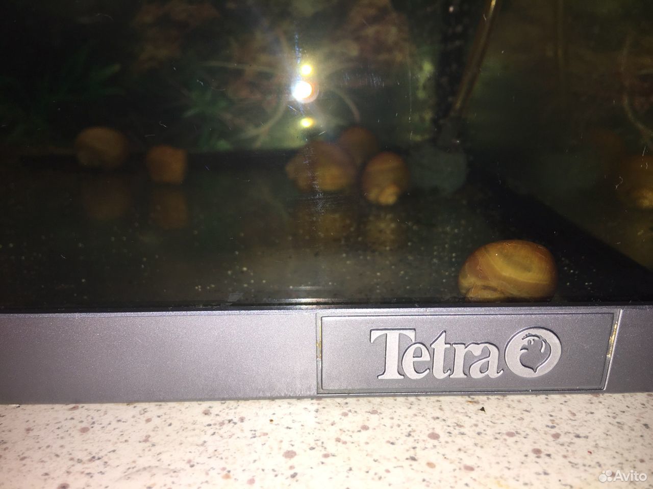 Аквариум Tetra