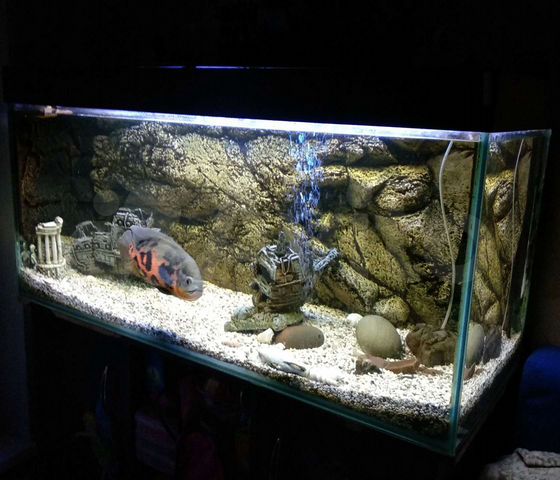 Аквариум с тумбой 300 литров